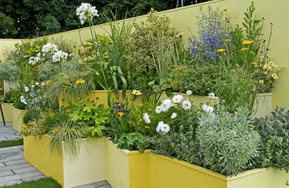 5 Container Garden Design Secrets