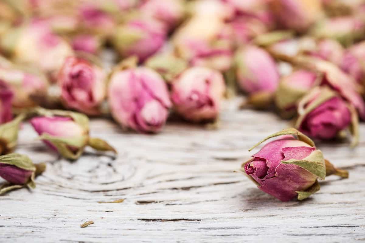 15 Plants to Grow for Dried Flowers & How To Dry Them