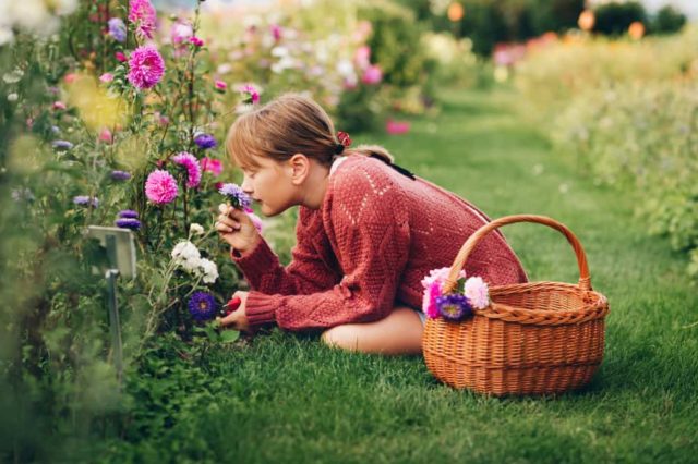 15 Fragrant Flowers for a Sweet-Smelling Garden