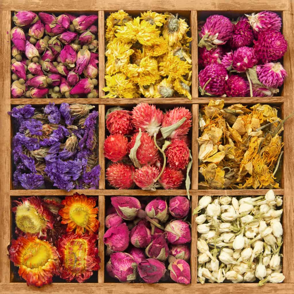 15 Plants to Grow for Dried Flowers & How To Dry Them