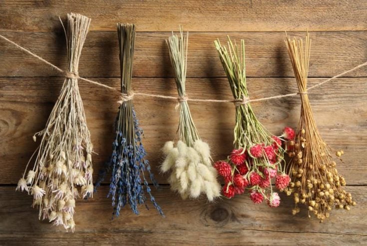 15 Plants to Grow for Dried Flowers & How To Dry Them