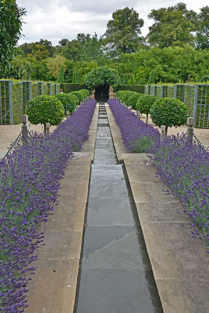 12 Best Specimen Trees, Shrubs & Plants To Bring Focus & Attention