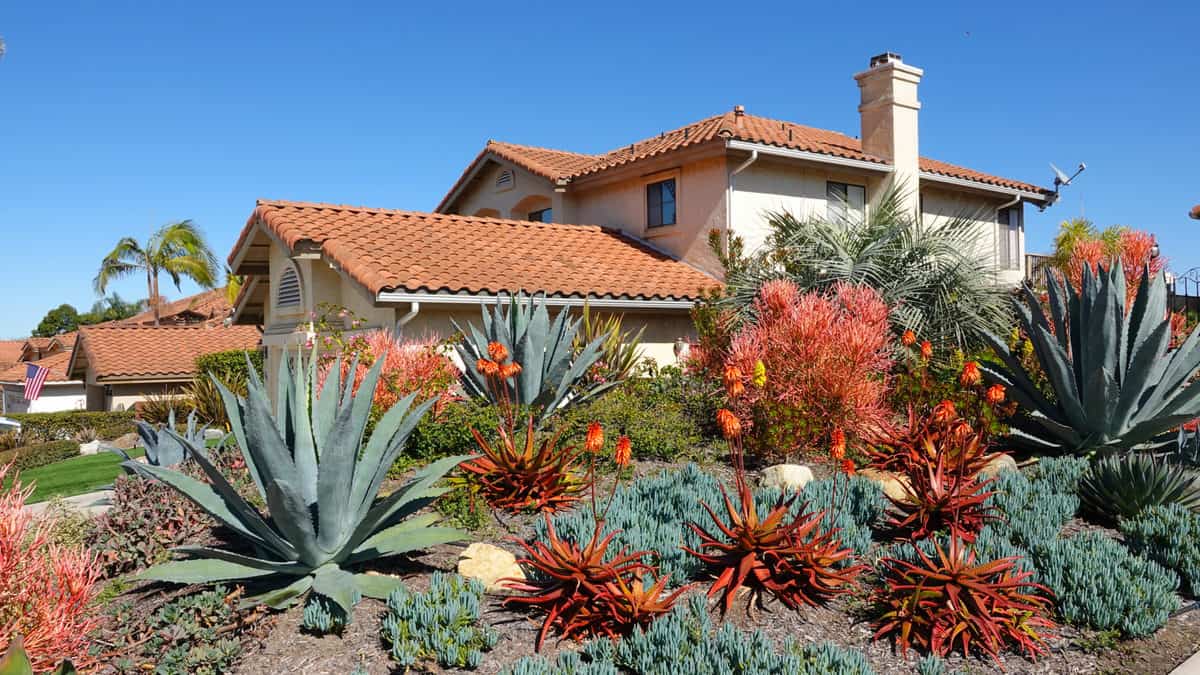 Foundation Plants: 16 Shrubs & Plants For The Front Of Your House