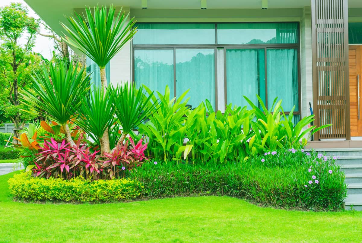 Foundation Plants: 16 Shrubs & Plants For The Front Of Your House