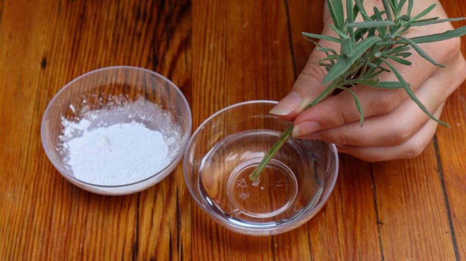 How To Propagate Lavender From Cuttings - Step-By-Step With Photos