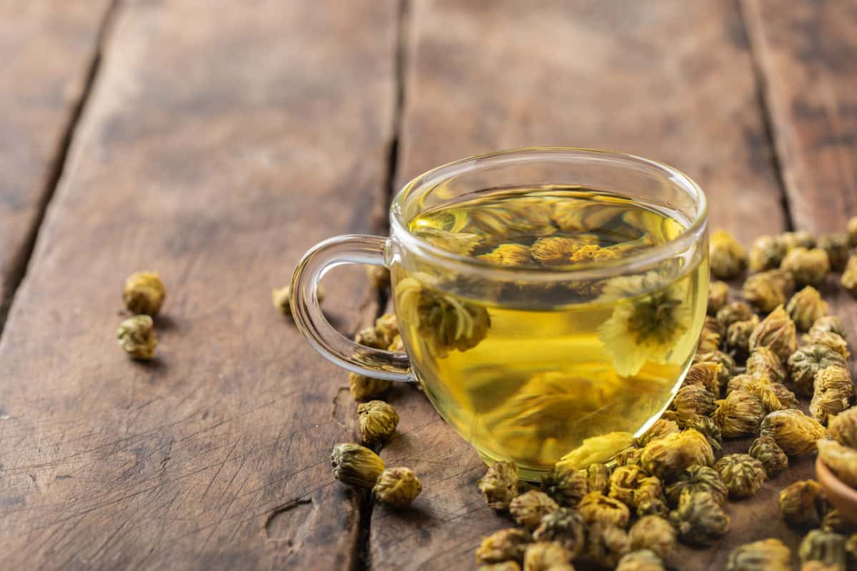 Deadheading Mums + More Tips to Make Chrysanthemums Last Longer