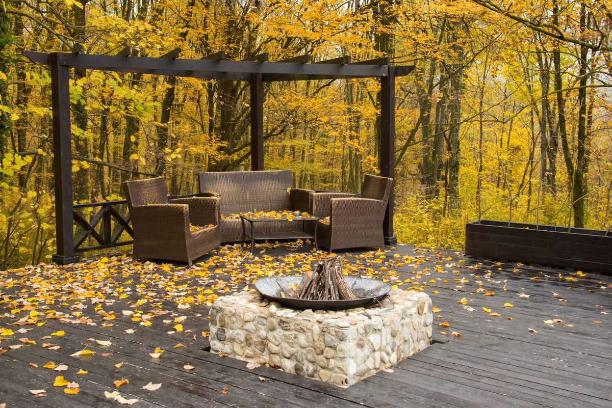 12 Best Plants For Stunning Fall Pots & Container Displays