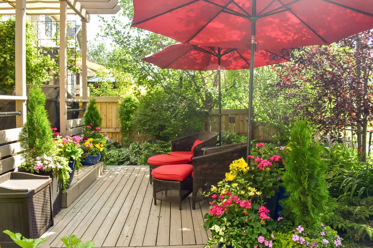 10 Subtle & Cheap Ways To Create Privacy In Your Backyard