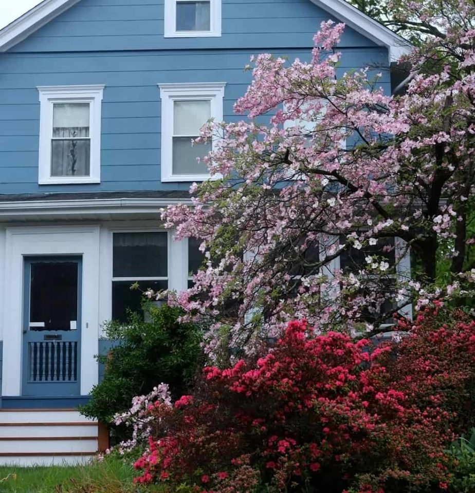 10 Subtle & Cheap Ways To Create Privacy In Your Backyard