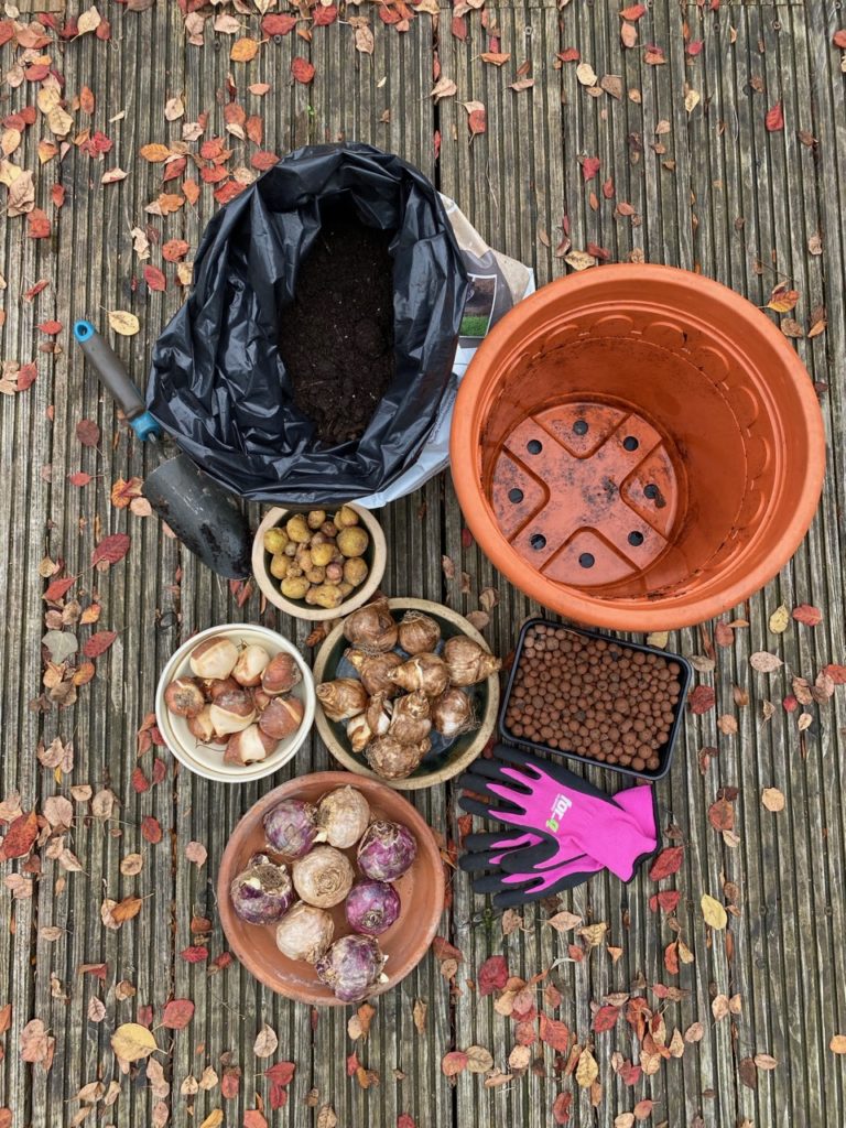 How to Plant A Bulb Lasagna - Layering Bulbs For Endless Spring Blooms