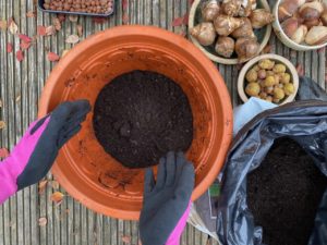 How to Plant A Bulb Lasagna - Layering Bulbs For Endless Spring Blooms