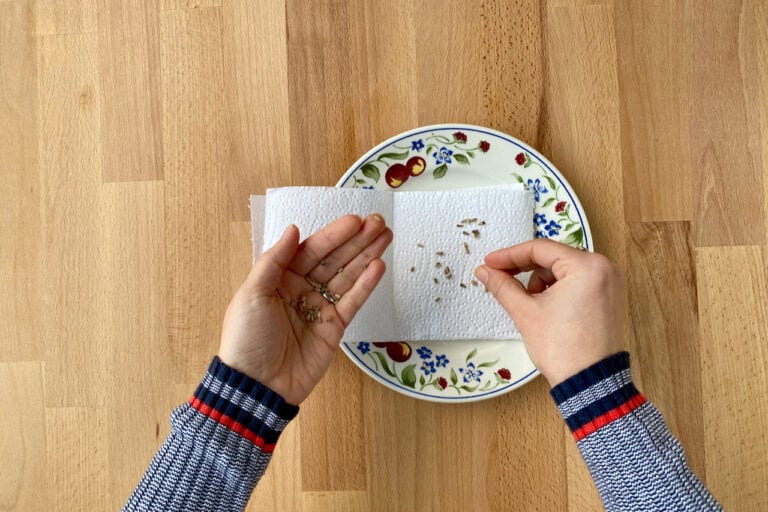 6 Ways to Cold Stratify Seeds (& 36 Plants That Need Stratification)