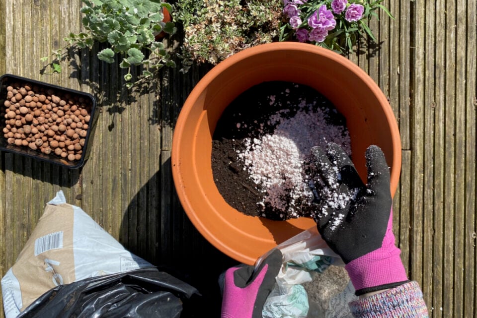 Designing and Planting a Spring Container that Delights the Senses