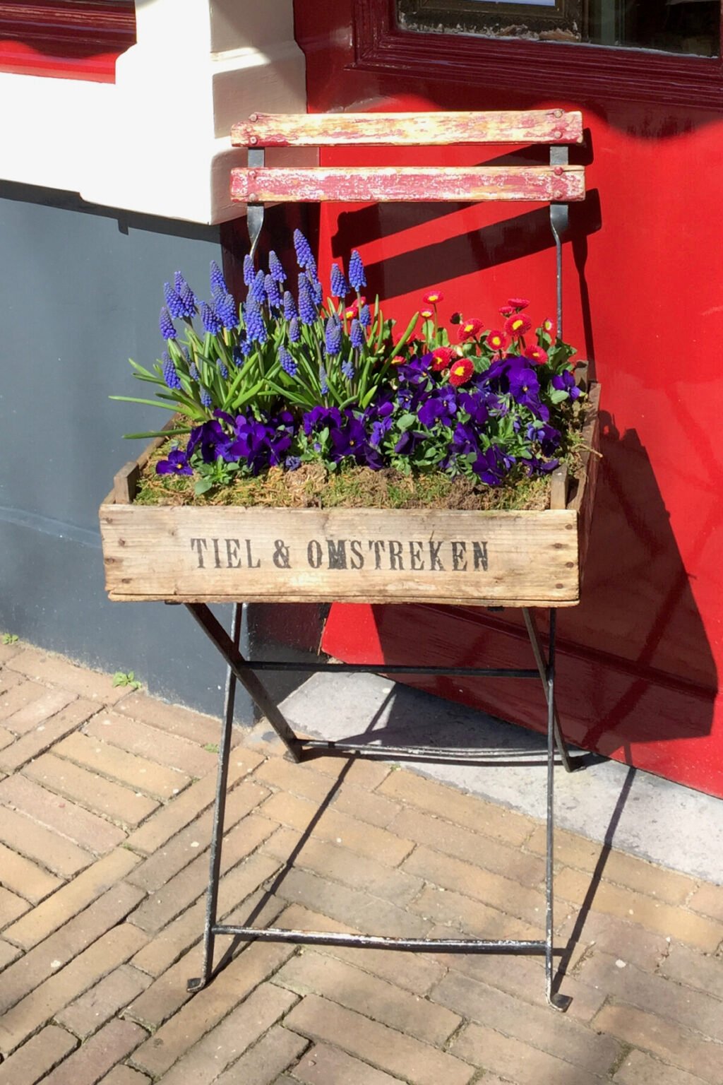 20 Plant Combinations for Stunning Container Displays in Every Season