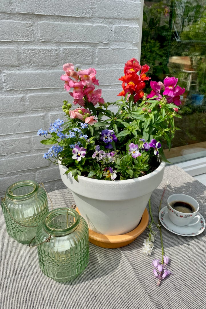 20 Plant Combinations for Stunning Container Displays in Every Season