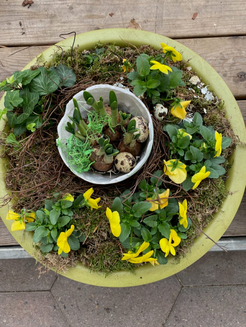 20 Plant Combinations for Stunning Container Displays in Every Season