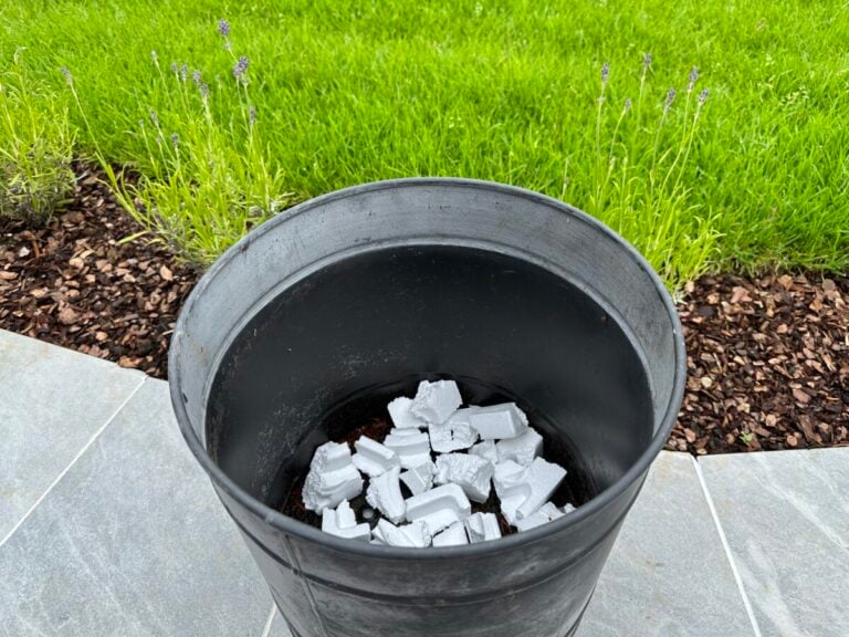 Blooming Backyard - Ideas and inspiration for growing a beautiful ...