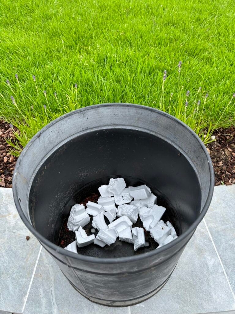 6 Mistakes to Avoid If You’re Growing Perennials in Pots